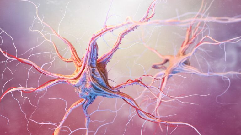 O que é Neuroplasticidade: entenda o cérebro e seu potencial